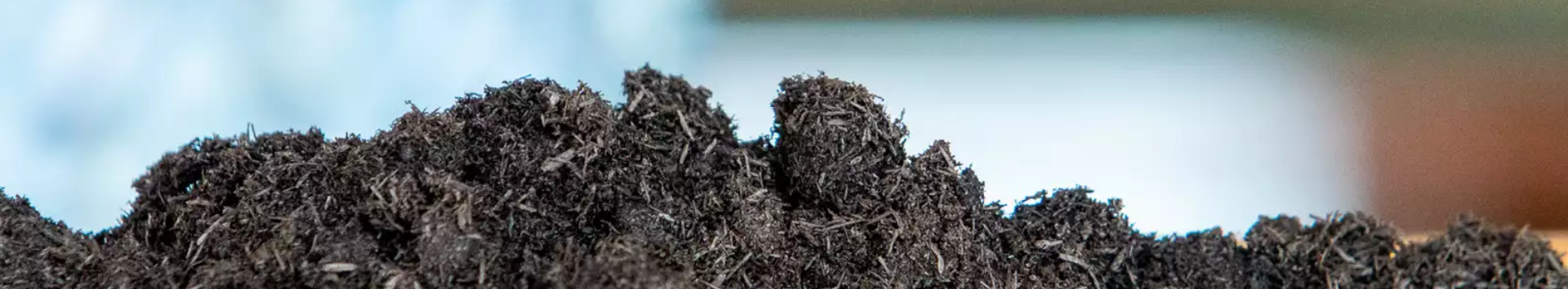 Buy Online – American BioCarbon